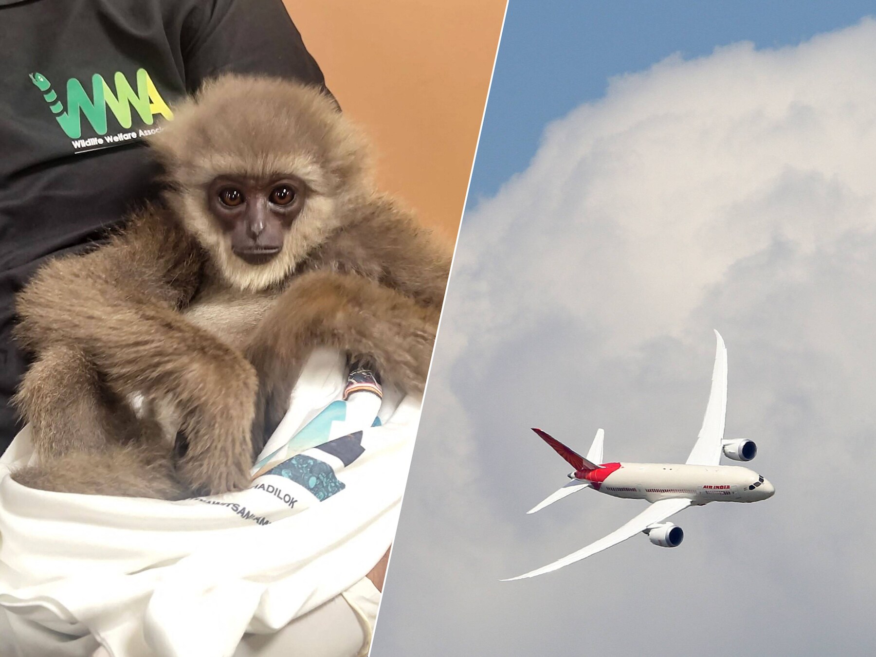 Wrak van legendarische pilote Amelia Earhart mogelijk gevonden: ‘Zal ...