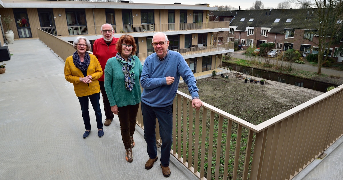 Je buurvrouw naar de dokter brengen en een schilderij ophangen ...