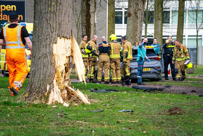 Auto in de kreukels na frontale botsing tegen boom in Rotterdam | 112 ...
