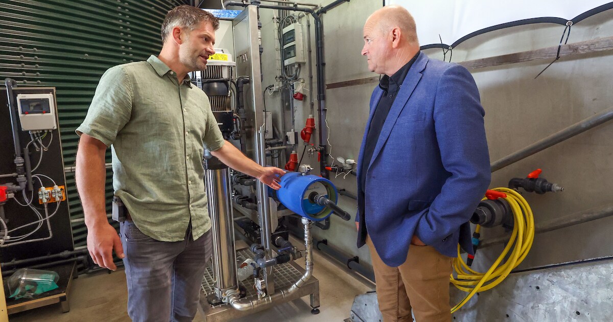 Schone stallen? Gedeputeerde gelooft heilig in innovatie Brabantse ...