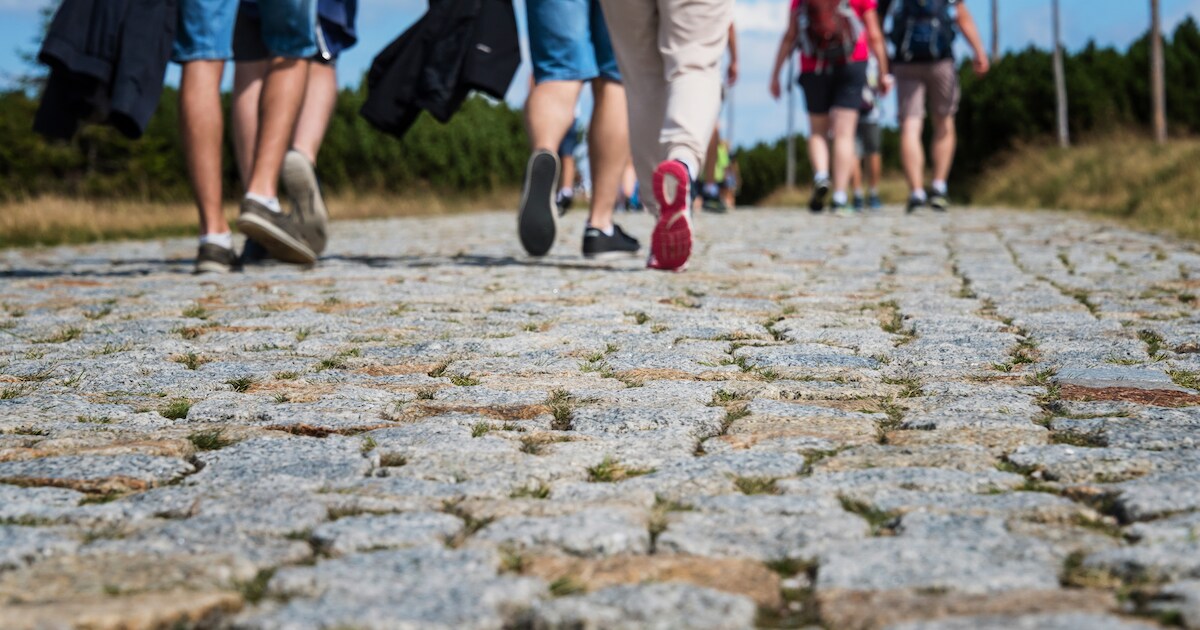 Eerste editie Wandel Feest Hoeksche Waard stijf uitverkocht | Regio | AD.nl