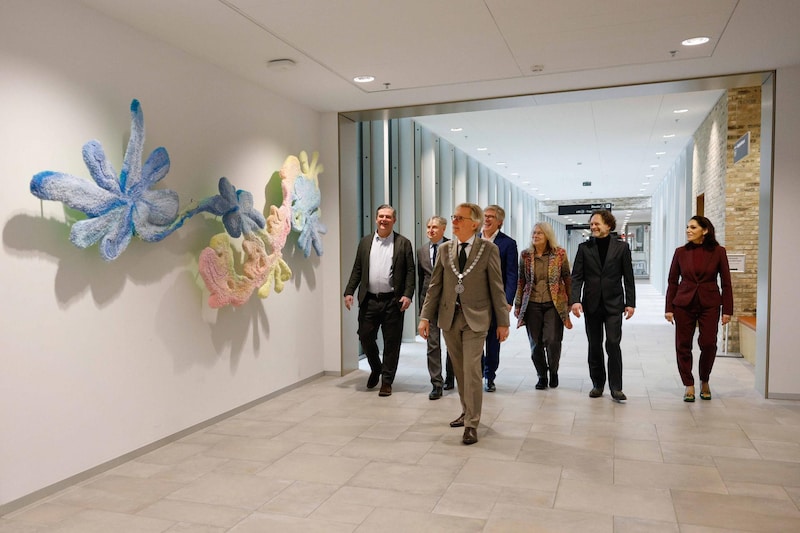 Hilversum viert opening nieuw kunstwerk bij ziekenhuis Tergooi MC ...