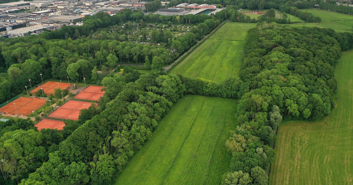 Provincie Utrecht krijgt miljoenensubsidie voor duurzamer landelijk ...