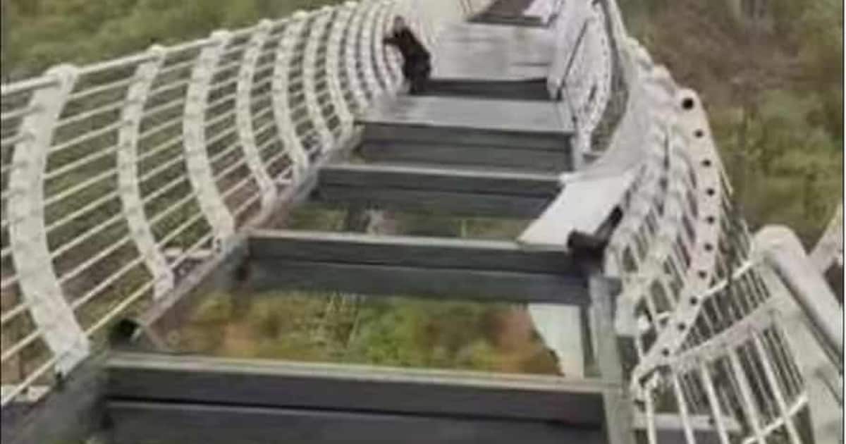 Chinese toerist ontsnapt aan de dood nadat deel van glazen hangbrug ...