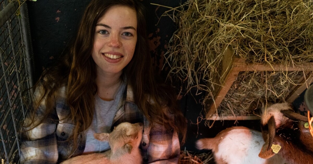 Dieren kinderboerderij De Plantage weken voor jaarwisseling al in de ...