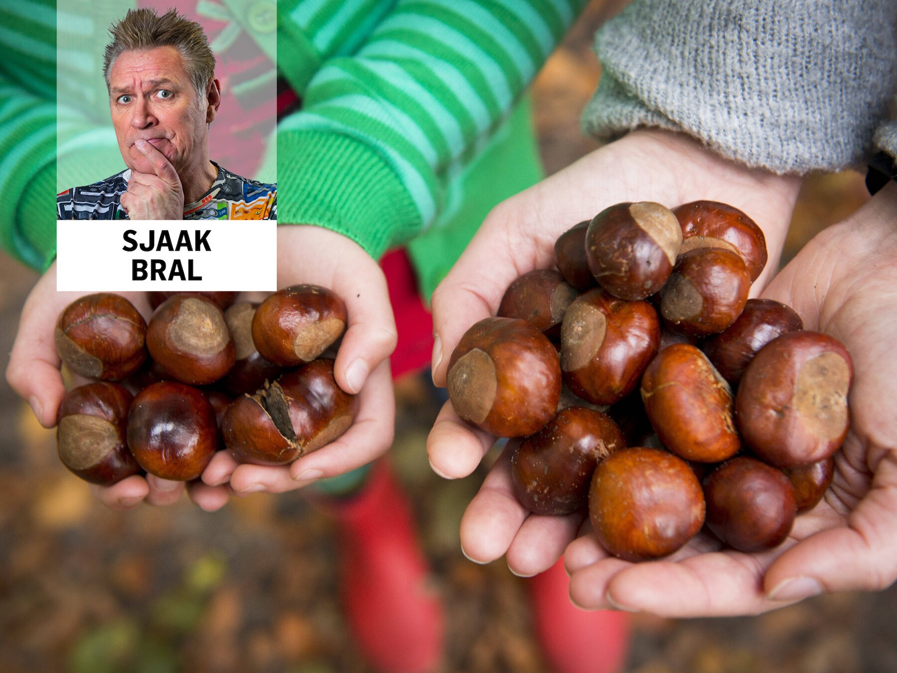 De pracht van de Haagse herfst, natuurlijk met de lange wandelingen en ...