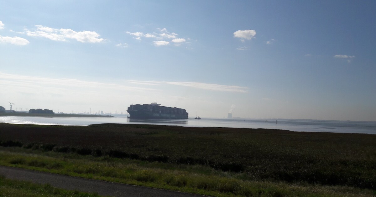 Enorm containerschip vastgelopen op Westerschelde | Binnenland | AD.nl