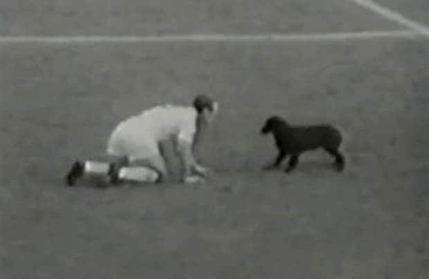 Engeland bidt voor Jimmy Greaves, de ‘Engelse Maradona’ die ook veel ...