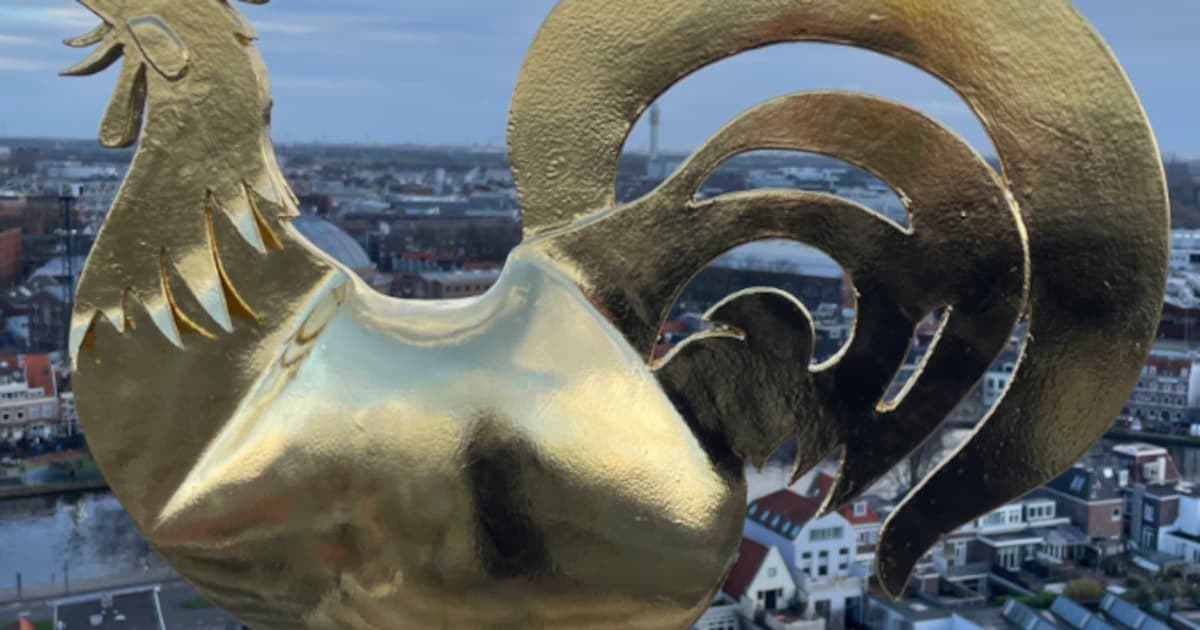 Haantje terug op Bakenessertoren in Haarlem, restauratie in de ...