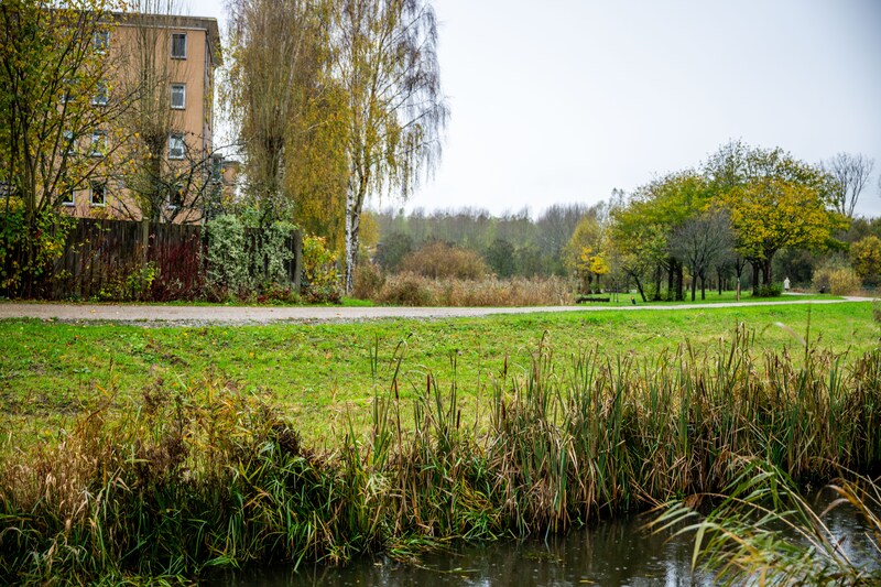 Poortugaal vreest helse herrie van ‘reuzen’ bij het Beneluxplein ...