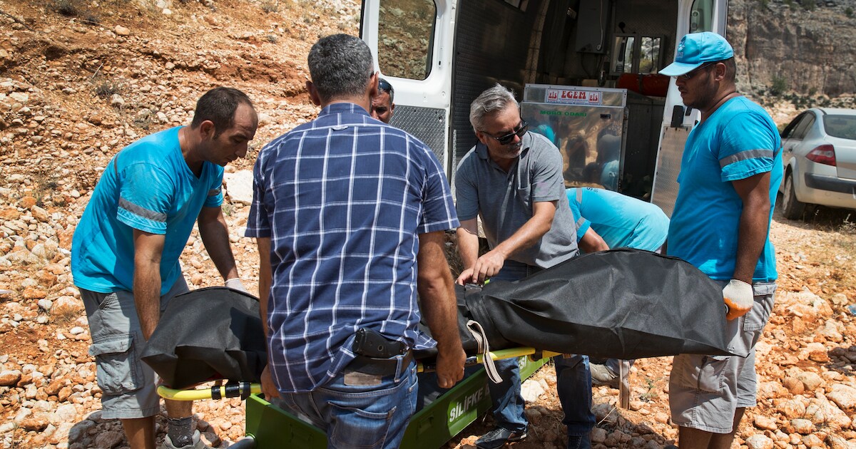Vermiste Joey Hoffmann gevonden, geen sporen van geweld op lichaam ...