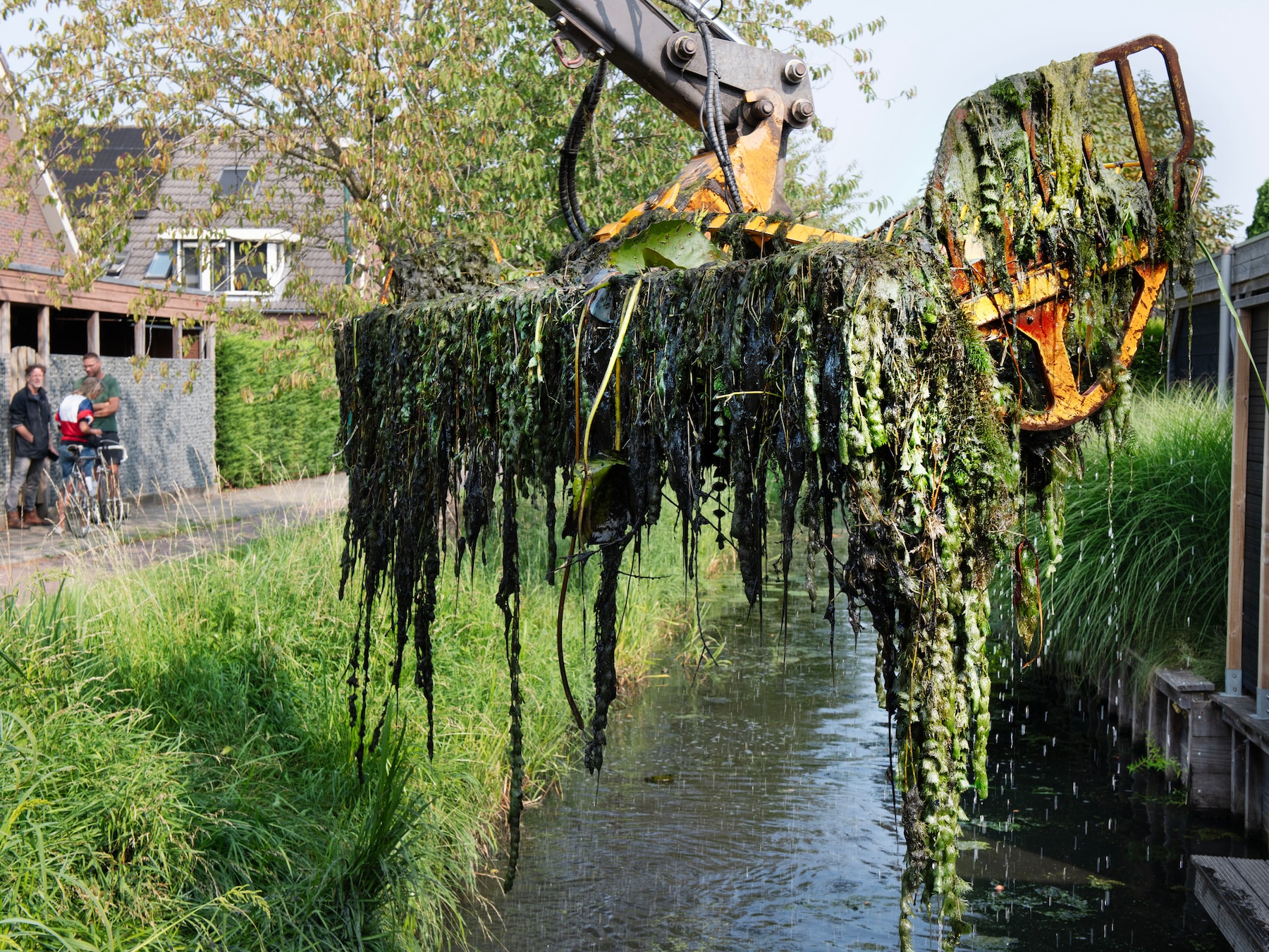 Nieuws uit Leidsche Rijn en Vleuten-De Meern | AD.nl
