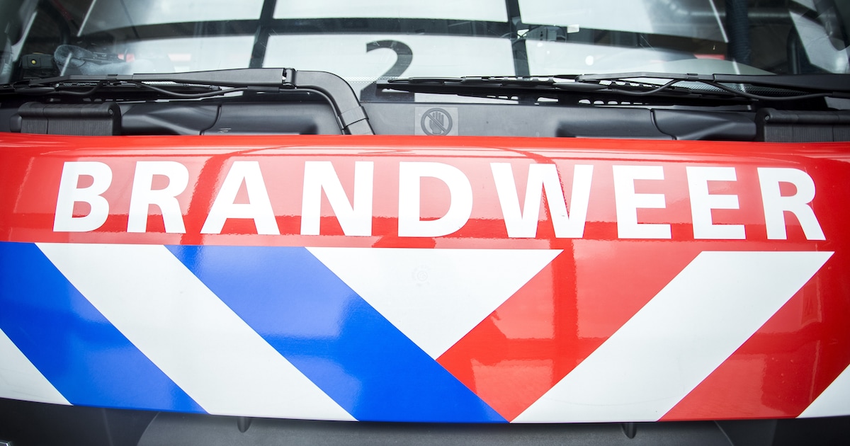 Brandstichting in Assendelft: politie zoekt getuigen | Regio | AD.nl