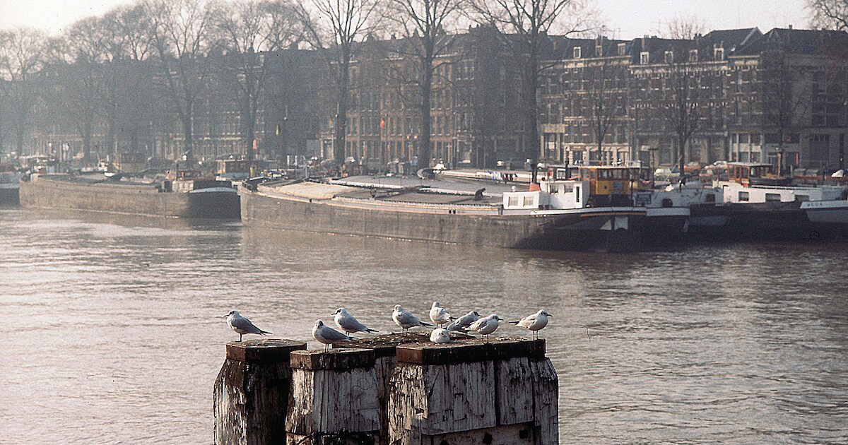 Diender moest stevig optreden tegen automobilisten die zijn bevelen ...