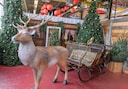 Foute kerstplaten en een frituurmuur: Foute kerstfeest als dé ...