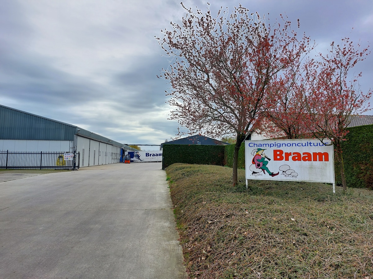 Het oude champignoncen­trum van Zeeland kennen we nu als vissersdorp ...