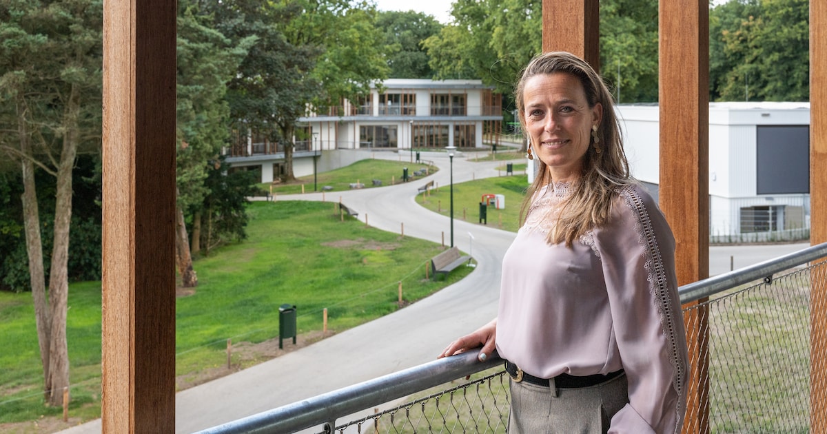 Op deze Amersfoortse school waan je je op een campus van een ...