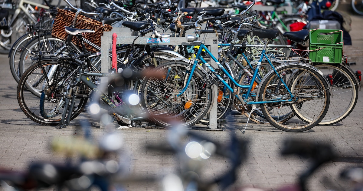 Brummen doet meer dan zestig keer aangifte van fietsendiefstal | Brummen | AD.nl
