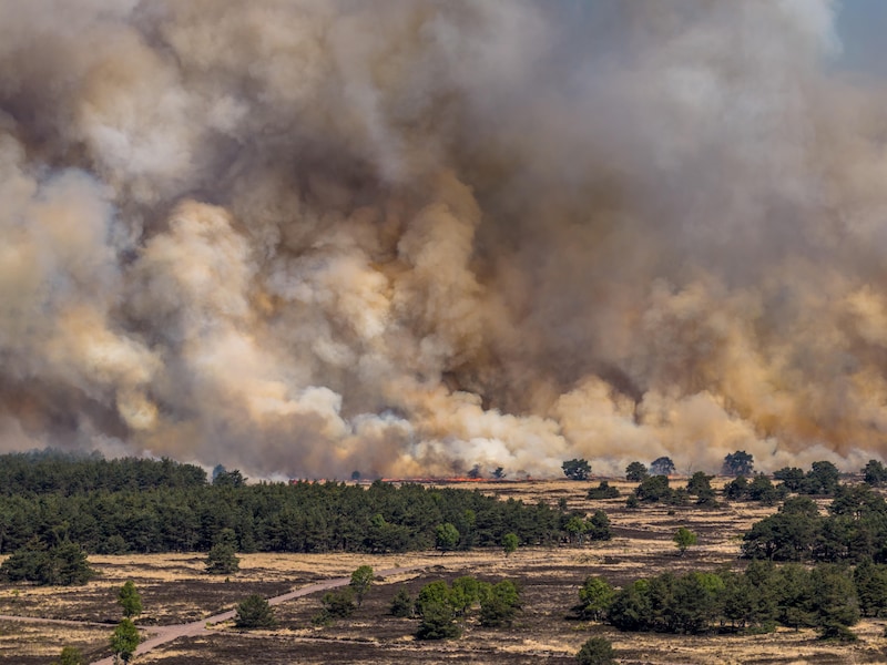 Na dagen blussen op Veluwe: eindelijk sein brand meester bij ...