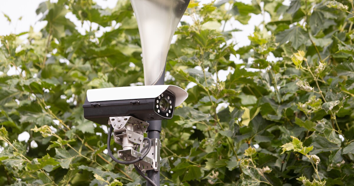 Mysterieuze camera's in woonwijk inmiddels verdwenen, maar wat deden ze ...