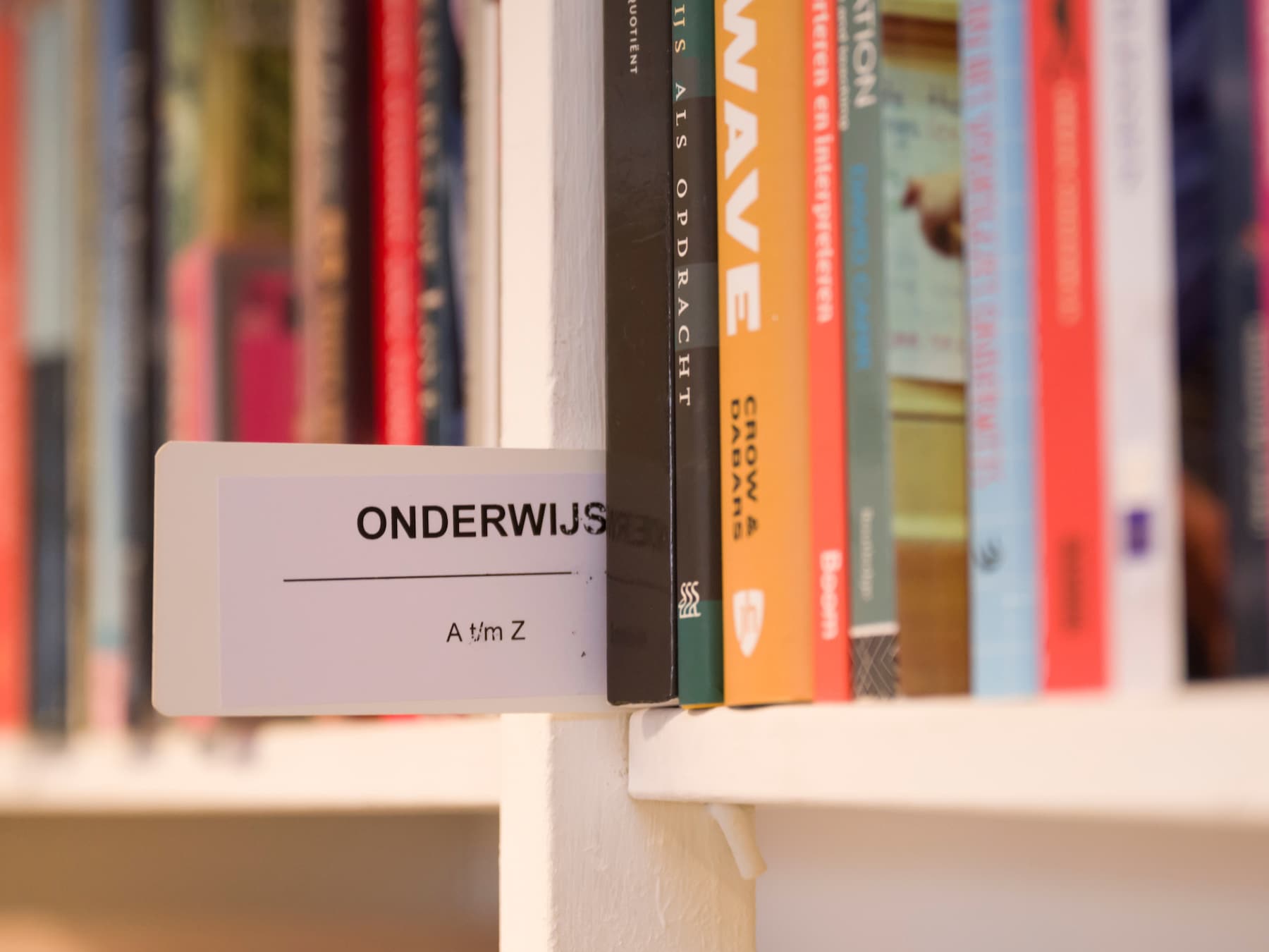 Al jaren diefstal, intimidatie en vechtpartijtjes in Budel: wat is er ...