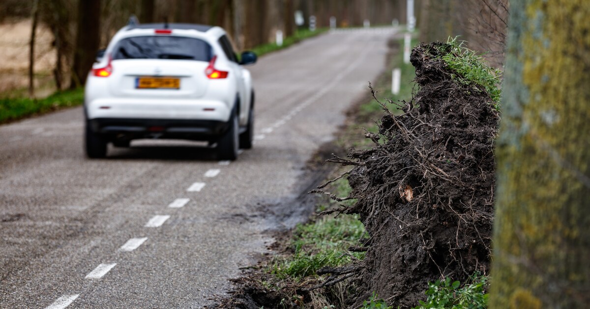 Fietspad tussen Moerdijk en Zevenbergen valt miljoenen duurder uit ...