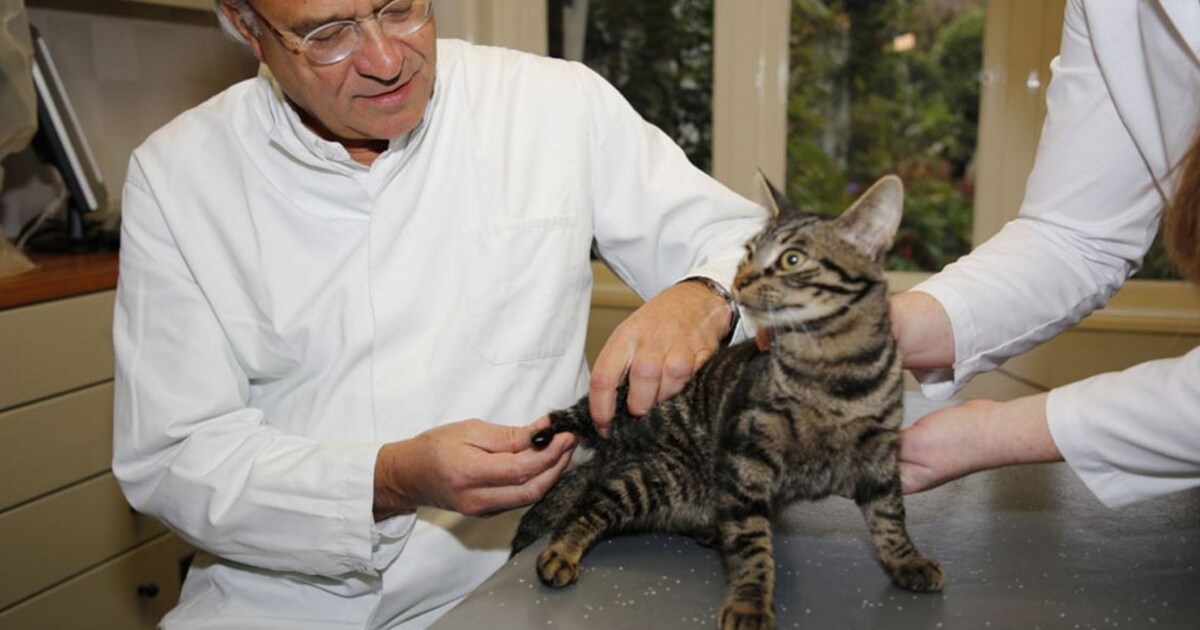 Morgen grote dag voor Quint: onderzoek bij Universiteit Utrecht ...