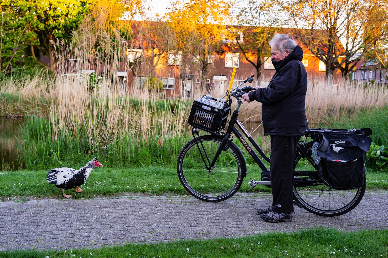 Patricia (63) kookt iedere dag eendeneieren en legt ze terug in het ...