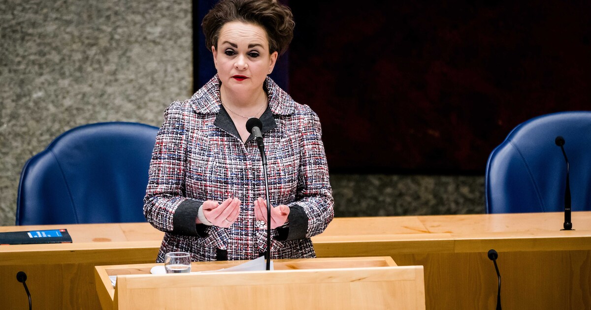 Kamer wil parlementaire ondervraging toeslagenaffaire | Politiek | AD.nl