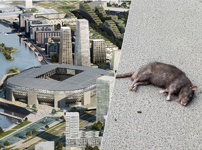 Een dag na zijn verjaardag ontvangt voorstander van nieuw ...