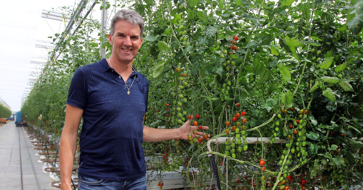 Kweker wordt gek van traag internet | Voorne-Putten | AD.nl