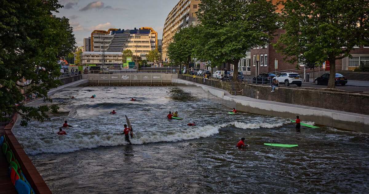 Niet ongevaarlijk en ook niet goedkoop, wél zeldzaam: Rotterdam opent ...