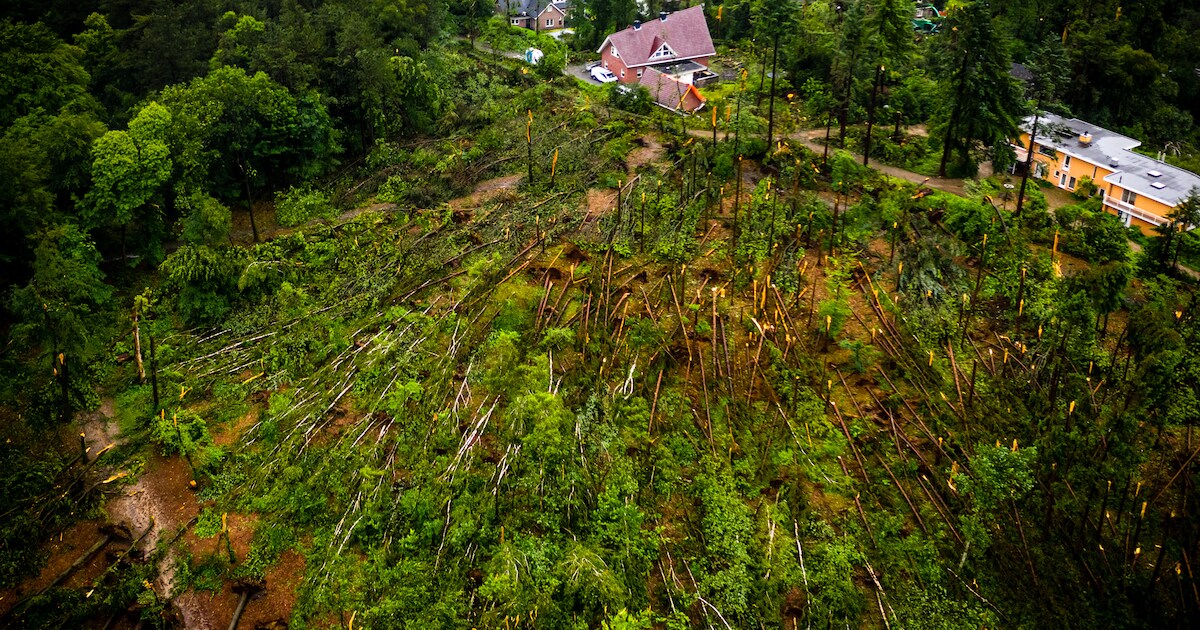 Een jaar na de valwind is de schade én het verdriet nog groot: ‘Veel ...
