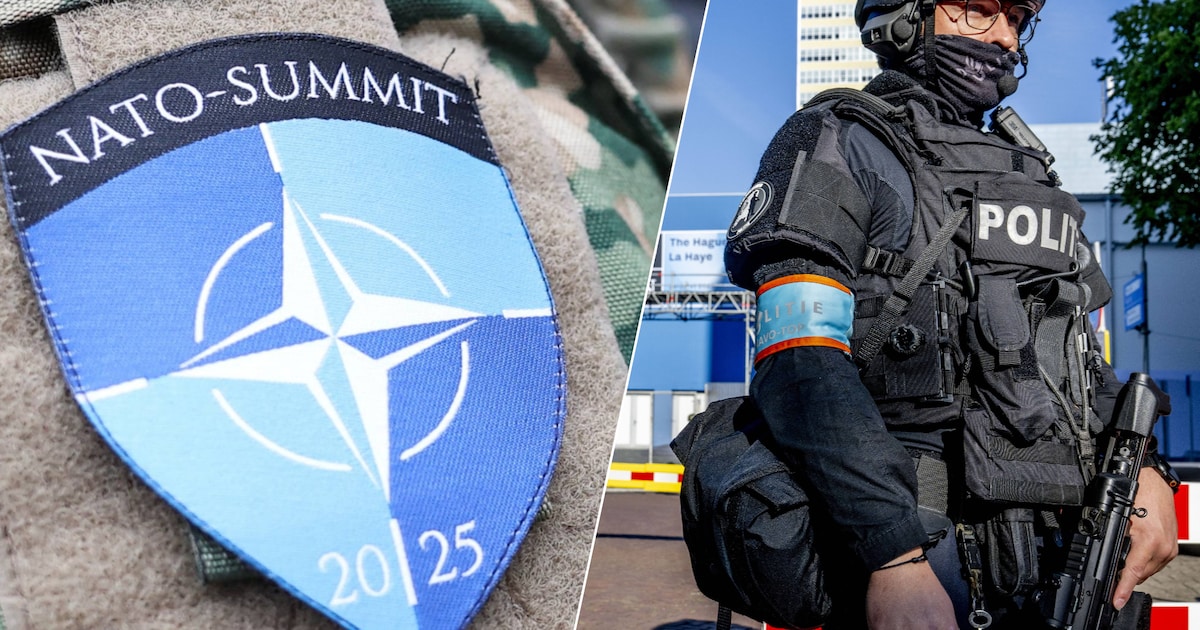 Militairen verkopen badges van de Navo-top op Marktplaats: ‘Wat ik ...