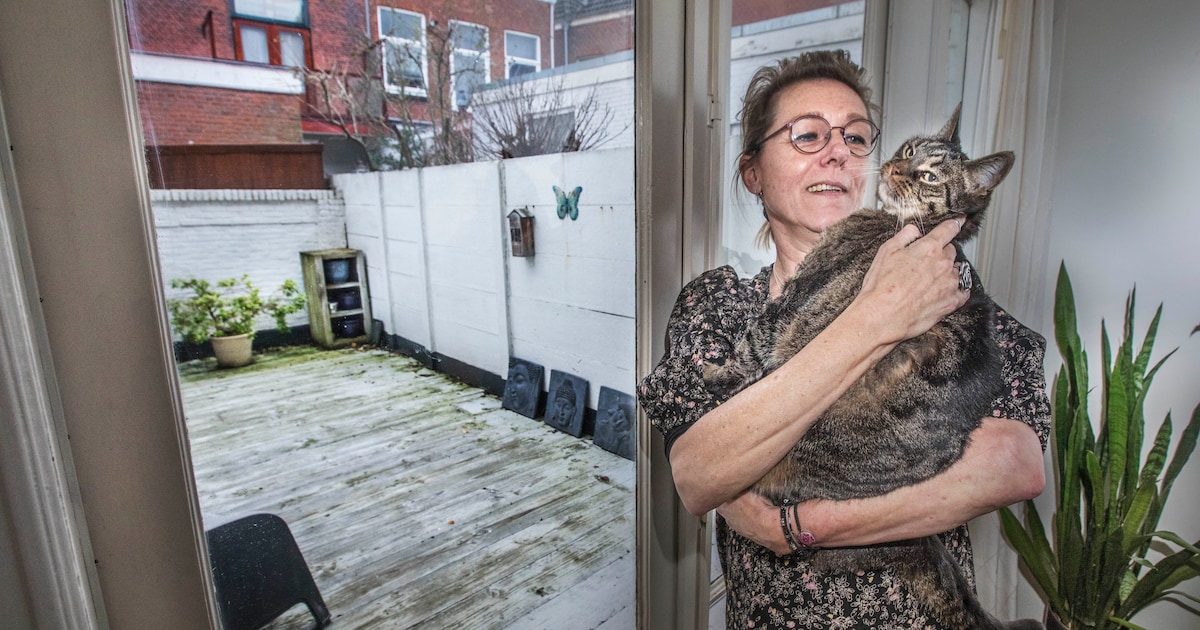 Merel zoekt iemand die haar tuin ‘katproof’ kan maken: kater Jamie ...