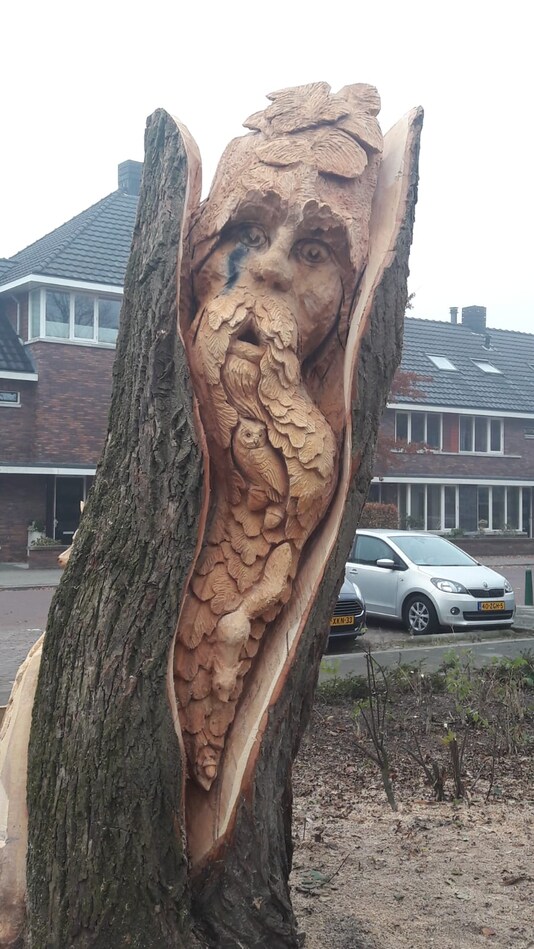 Geknakte treurwilg omgetoverd in boomkunst | Den Haag | AD.nl