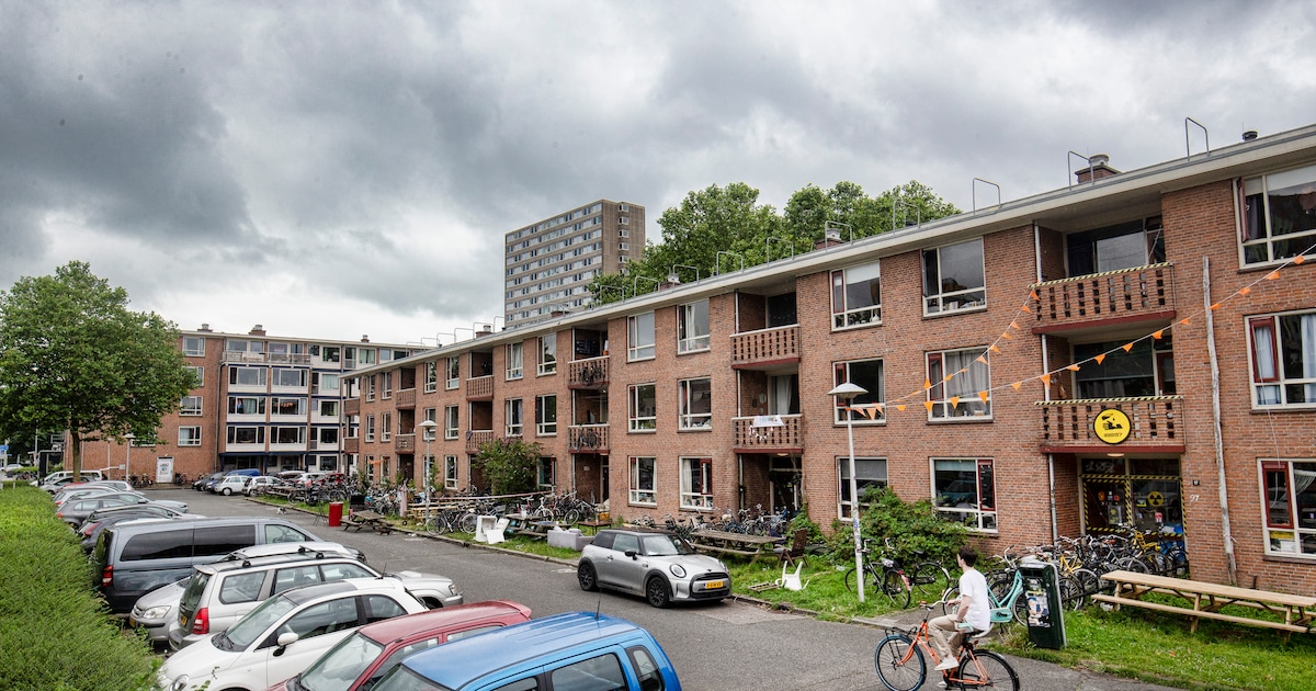 Nog kleiner? Dit is wat studenten vinden van het idee kamers krapper te ...