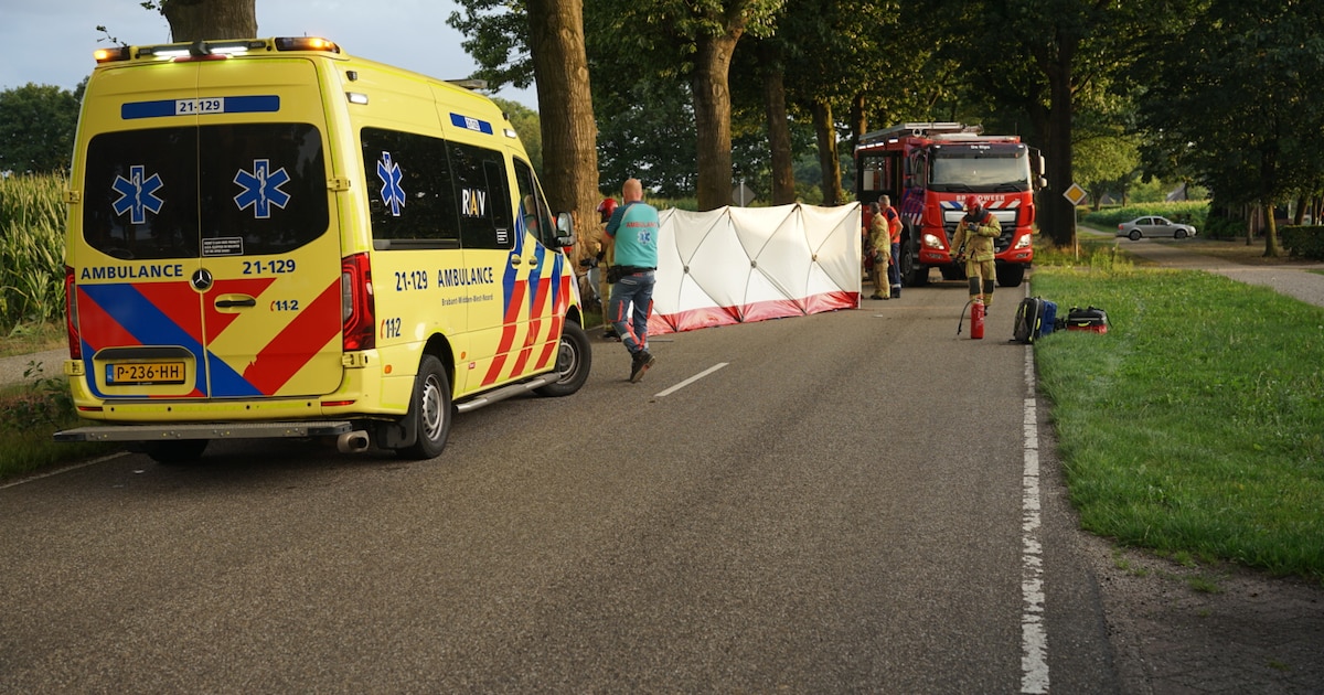 Automobilist (19) overlijdt bij eenzijdig ongeluk: hij raakt van weg af ...