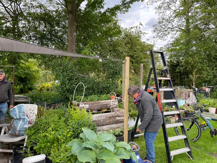 Lau heeft een echte volkstuin: ‘Wat de tuin mij biedt, is niet in geld ...