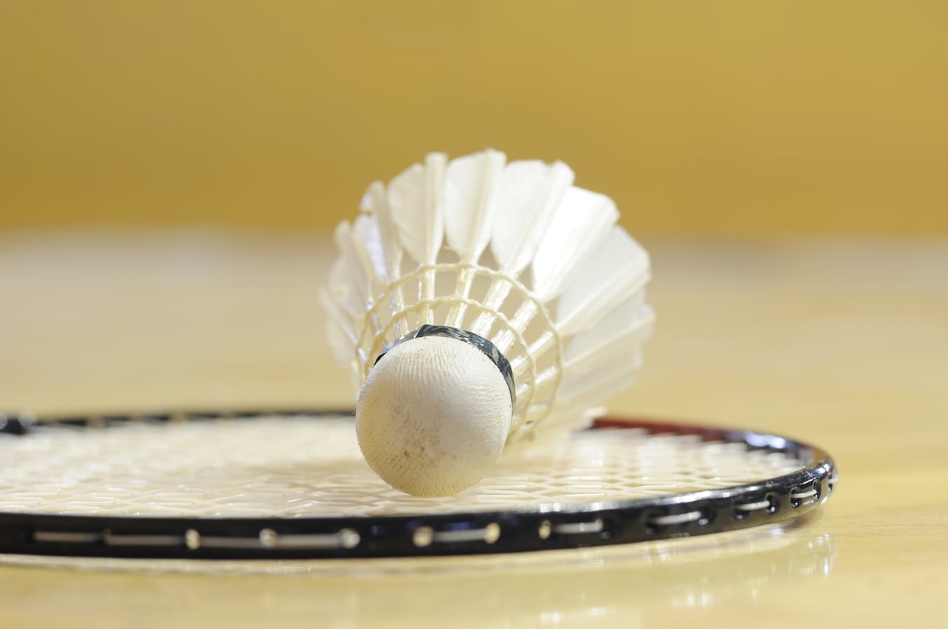 Zo begon de Bergse badmintonvereniging 50 jaar geleden: ‘Shuttles, een ...