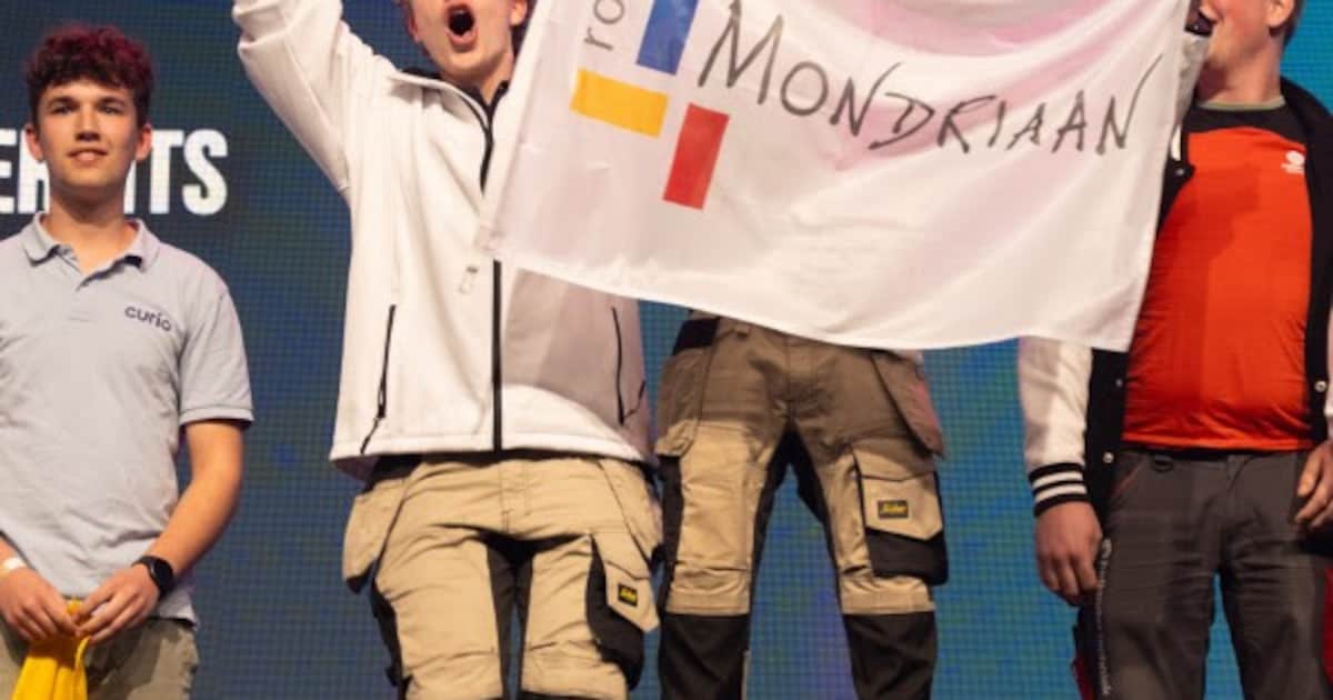 Daan en Jaro van ROC Mondriaan slepen goud in de wacht bij Skills The Finals | Den Haag | AD.nl