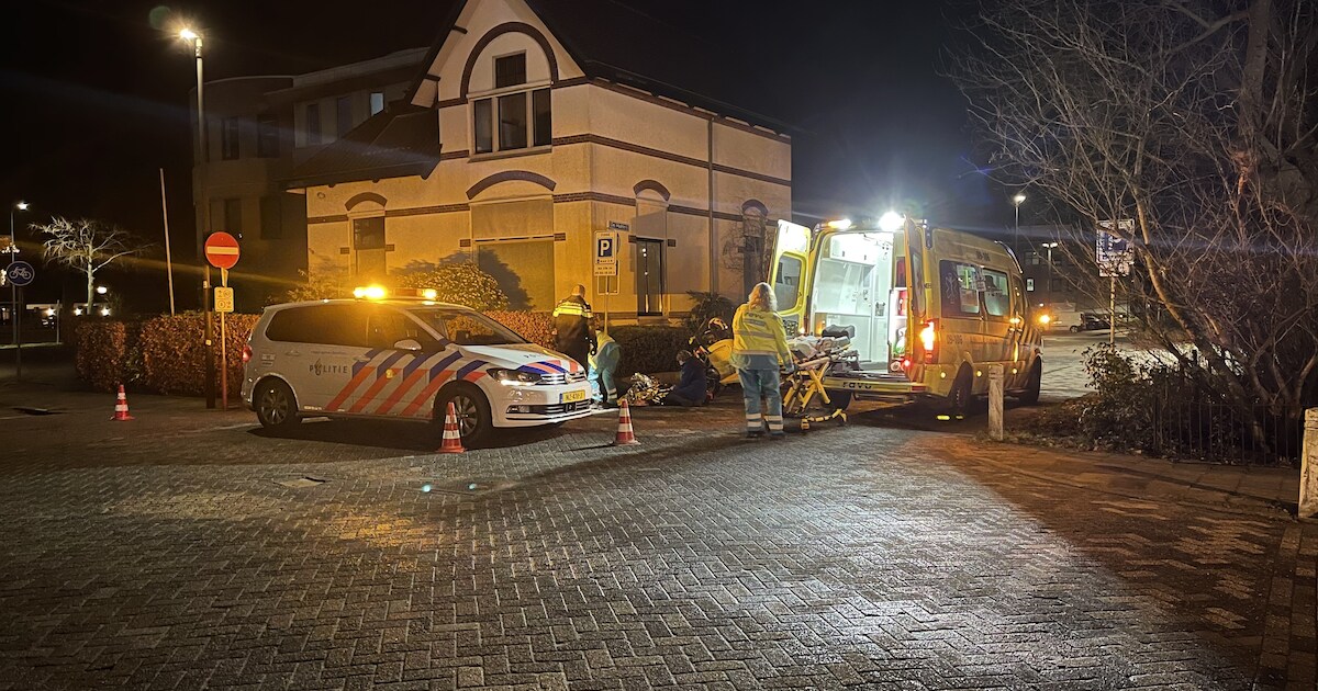 Hond overleden bij aanrijding, baasje moet naar ziekenhuis | Amersfoort | AD.nl