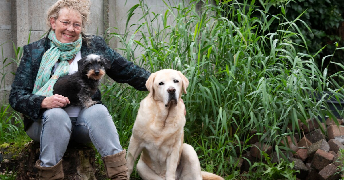 Wendy (60) werd de reddende engel van veel dieren: ‘Een schaap die op z ...