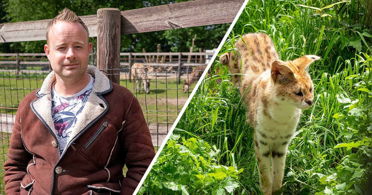 Ruben over zijn exotische 'Ark van Noach': 'Alleen al een stokstaartje ...