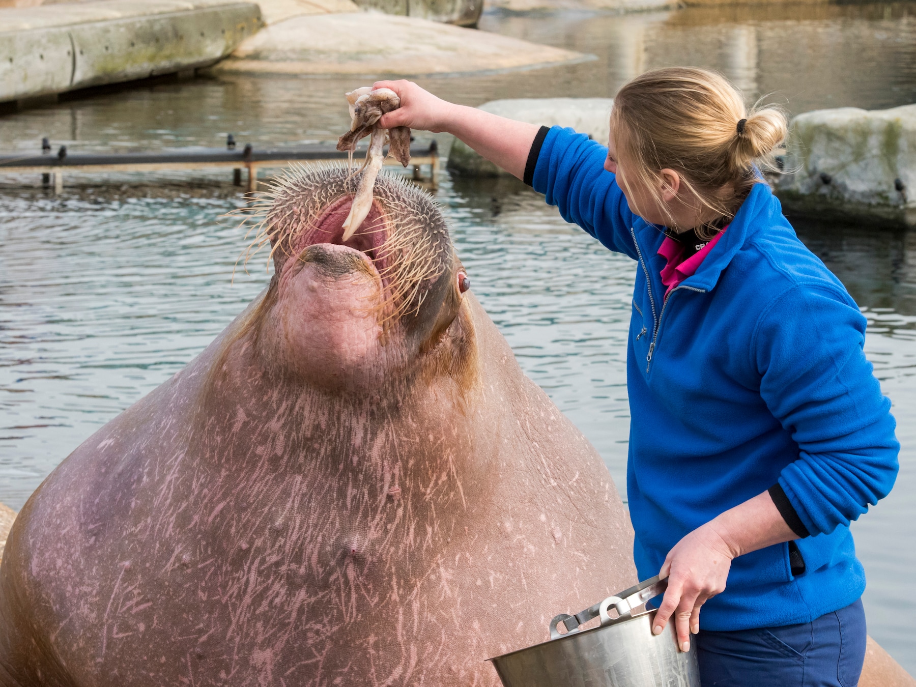 Rapper Bigidagoe van beruchte rapformatie Zone6 doodgeschoten in ...