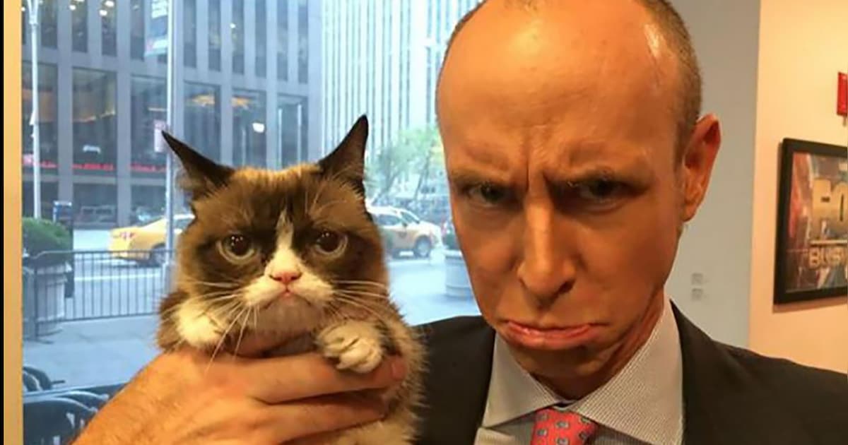 Boze katten tegen Brexit | Nieuws | AD.nl