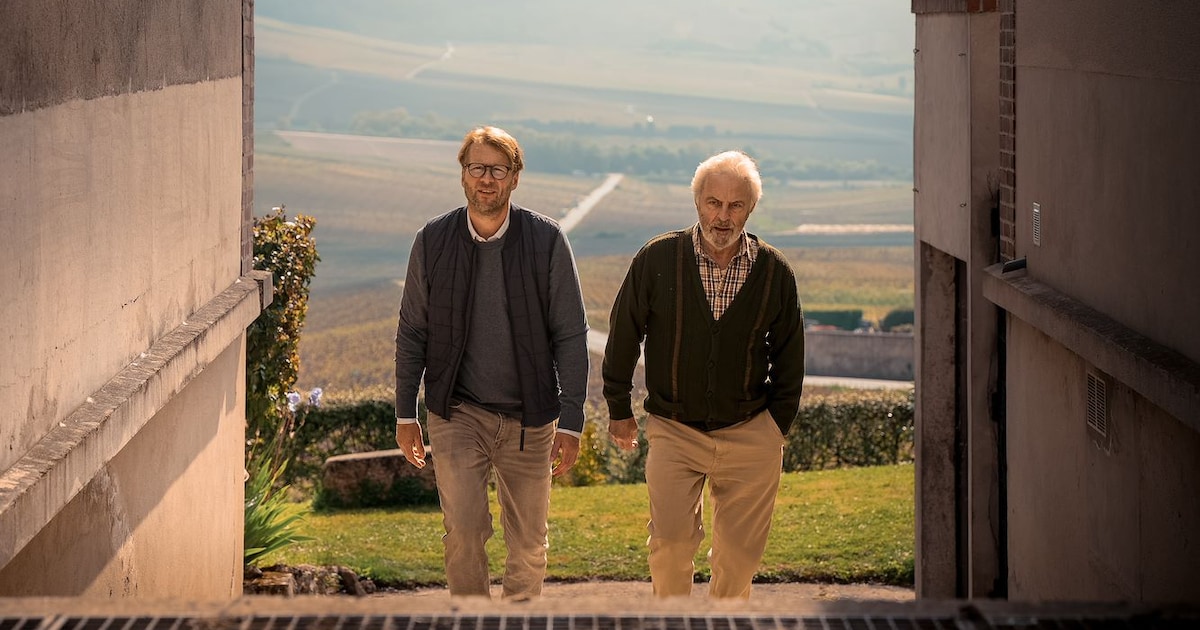 LingeFilm draait vader-zoon roadmovie Champagne | Regio | AD.nl