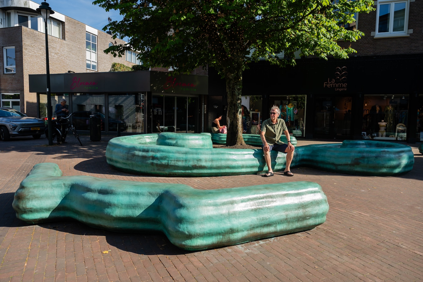 De ‘groene drol’ langs de Slotlaan maakt de tongen los in Zeist: ‘Zelfs ...