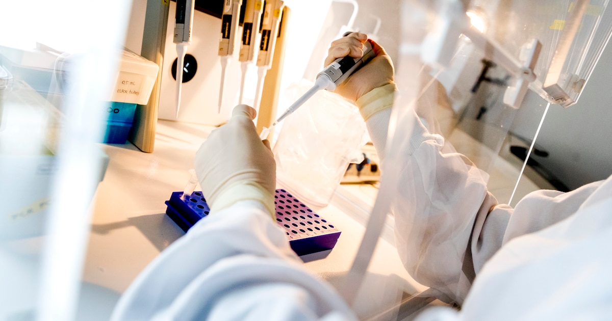 Deze moorden werden opgelost met dank aan dna-onderzoek | Nieuws | AD.nl