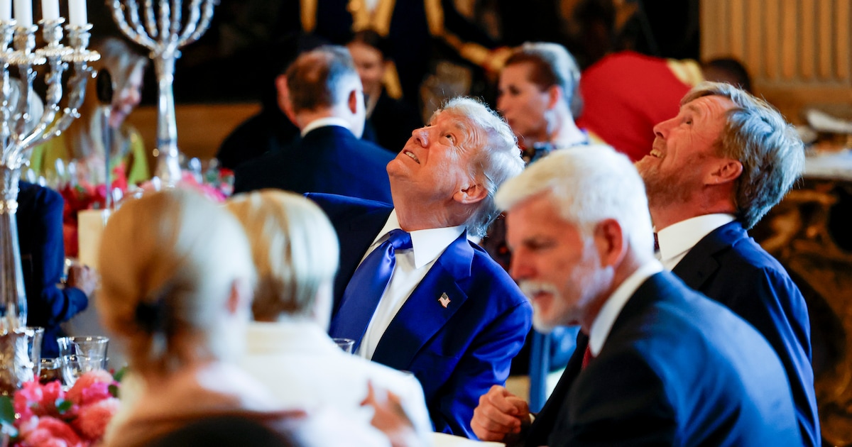 Het beste eitje ooit, dat moet straks Europa redden | Borne | AD.nl